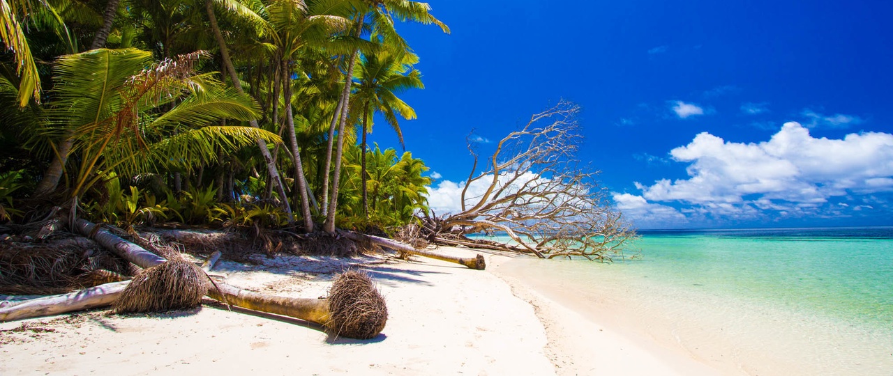 Alphonse Island - DOVOLENÁ SNŮ