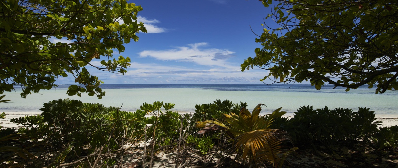 Canopy by Hilton Seychelles - zájezdy na klíč - DOVOLENÁ SNŮ
